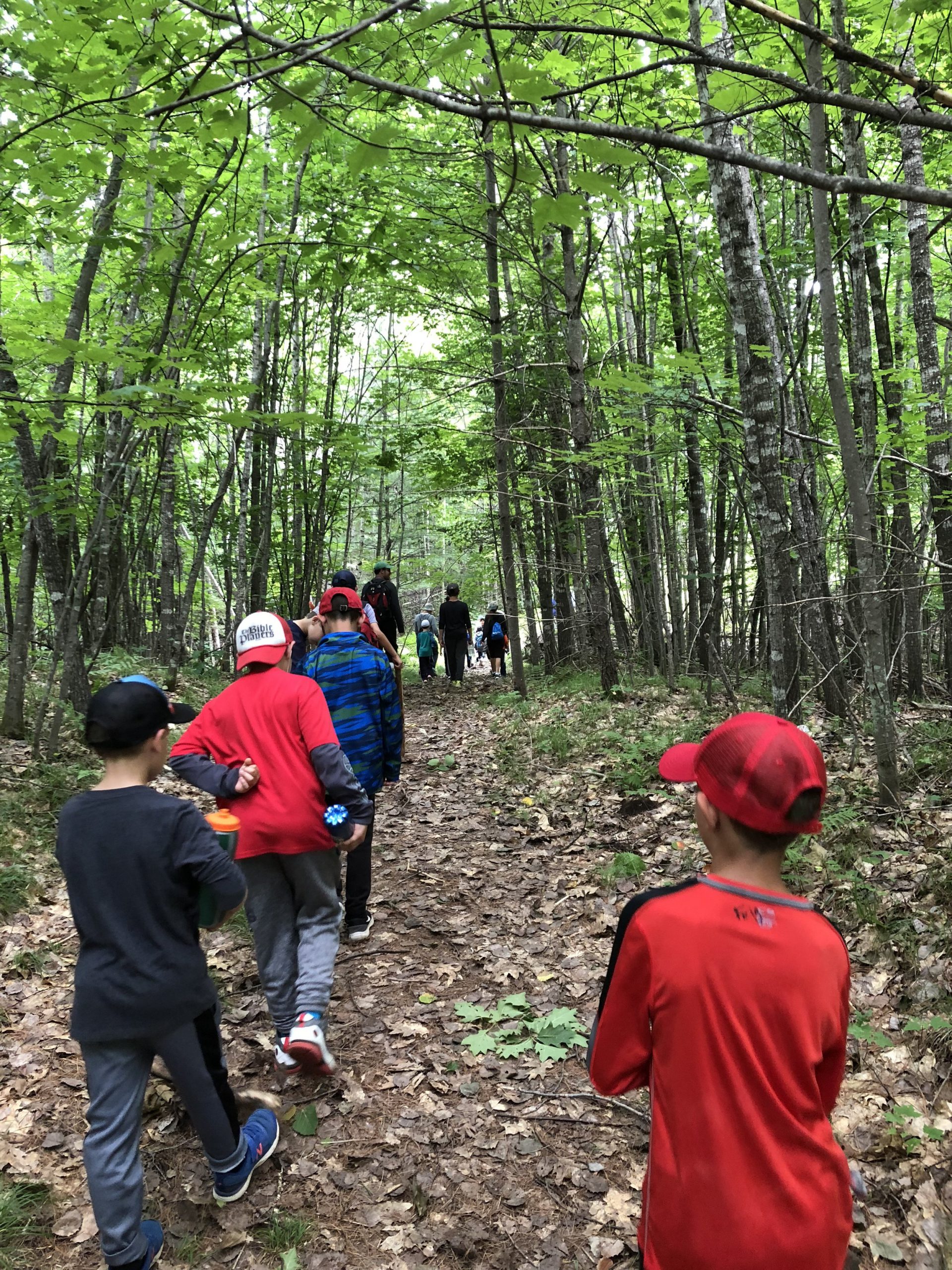 My summer in the Northwoods of Wisconsin - Camp Ramah Wisconsin